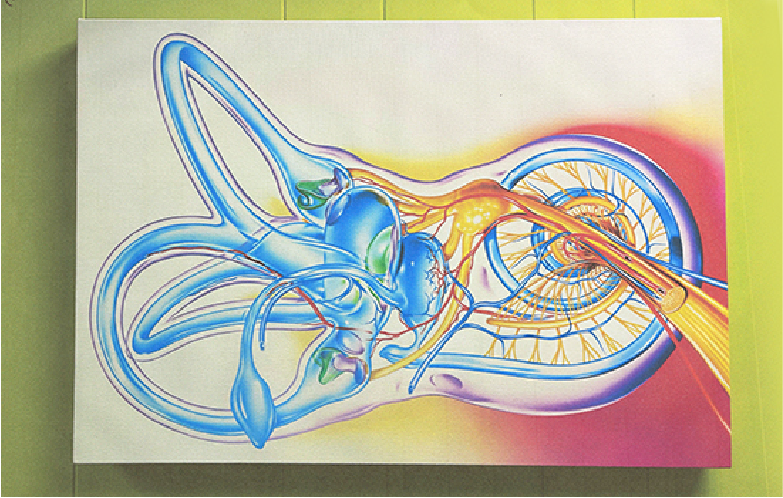 Dizziness Assessment and Treatment | Ear & Hearing Clinic